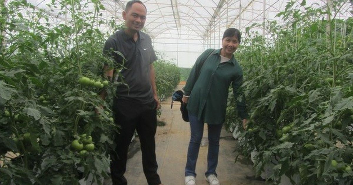 Chàng trai 8X Đà Lạt có khối tài sản trăm tỷ nhờ mô hình trang trại ...