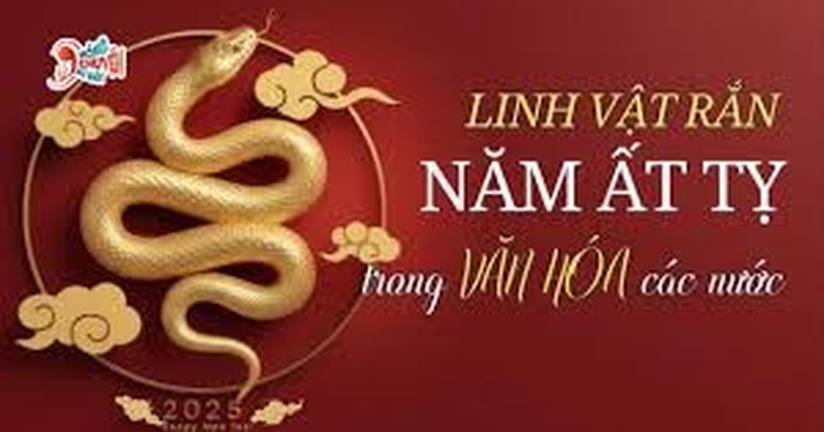 Năm con rắn và những điều thú vị